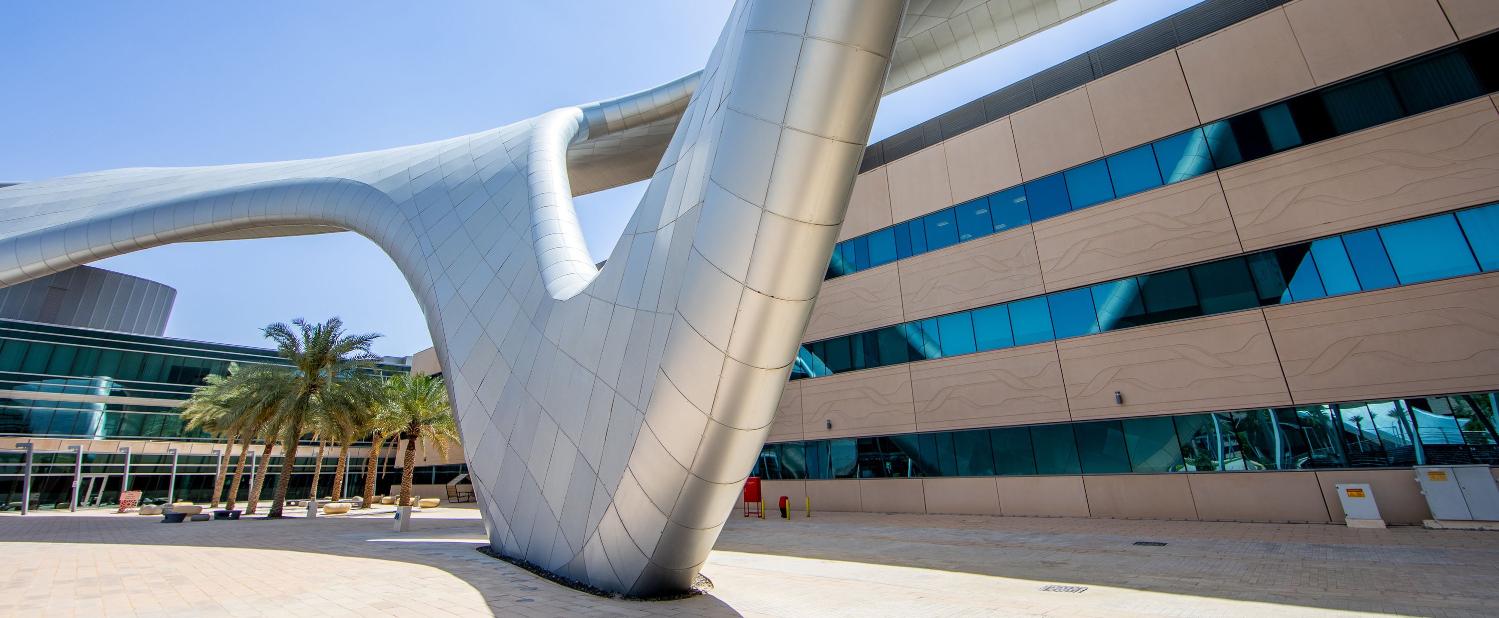 Navigating End of Semester Stress: Strategies for Graduate Students